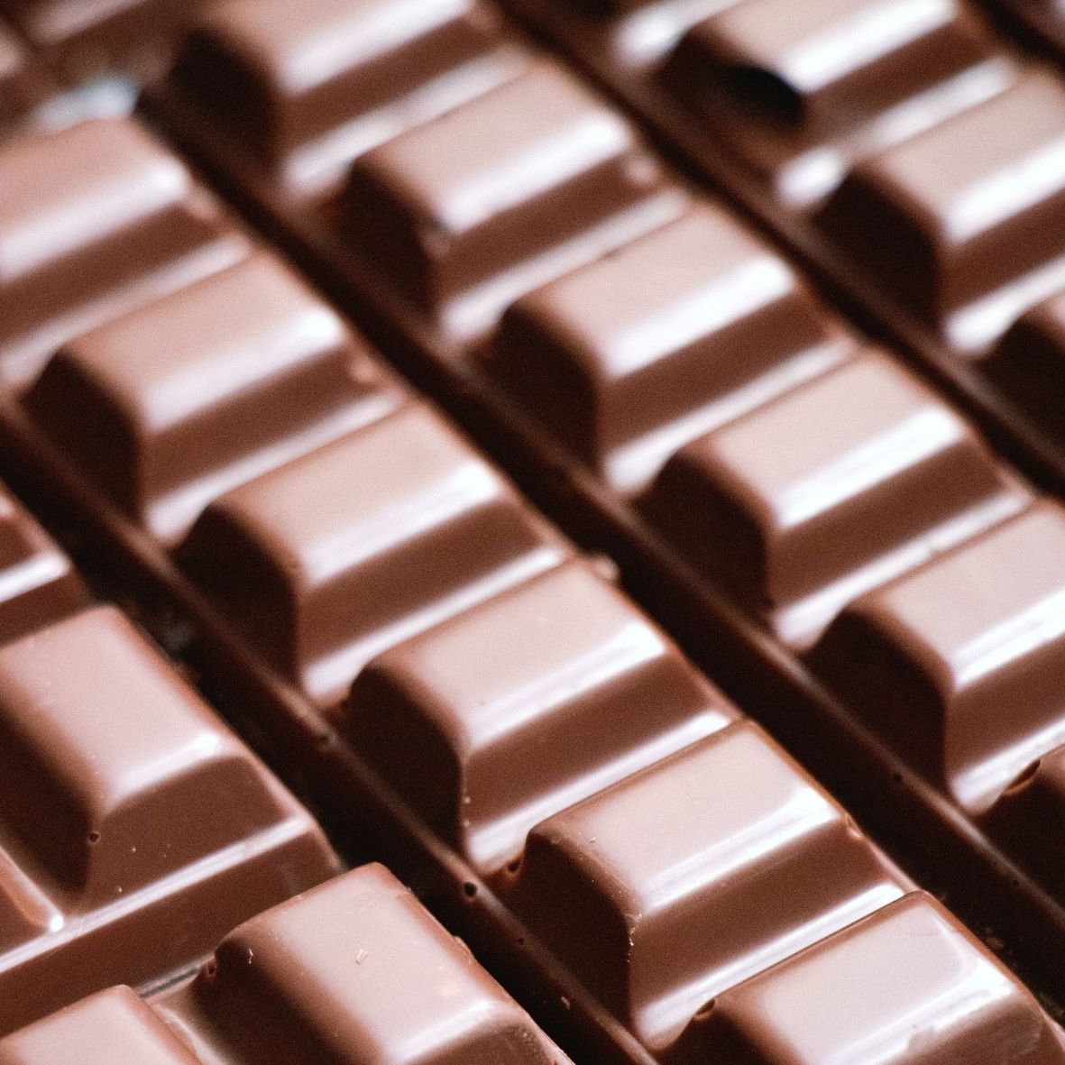 UTZ und Rainforest Alliance - BM Certification